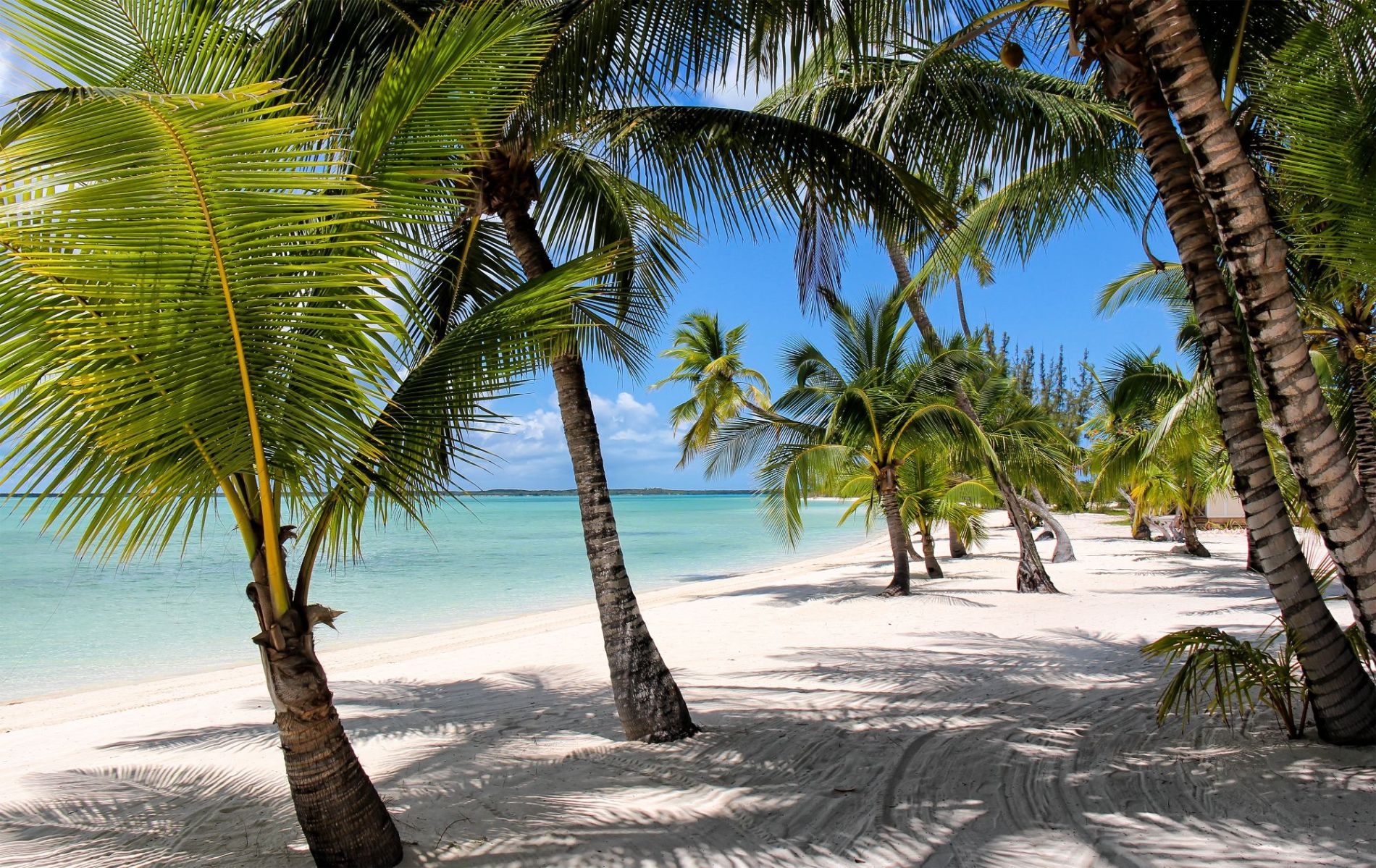 Top 5 Most Secluded Islands in the Bahamas