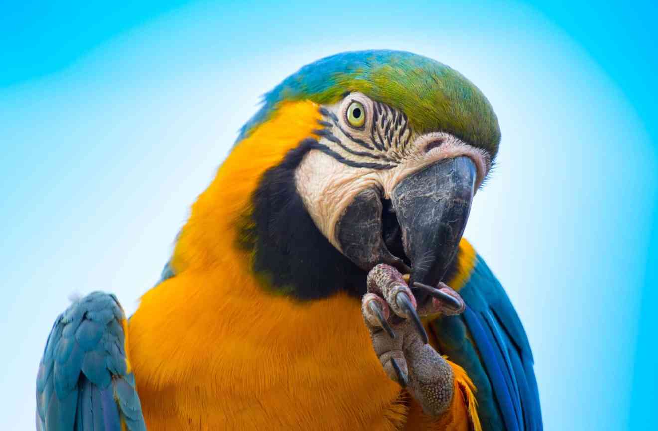 Top 5 Most Secluded Islands in the Bahamas