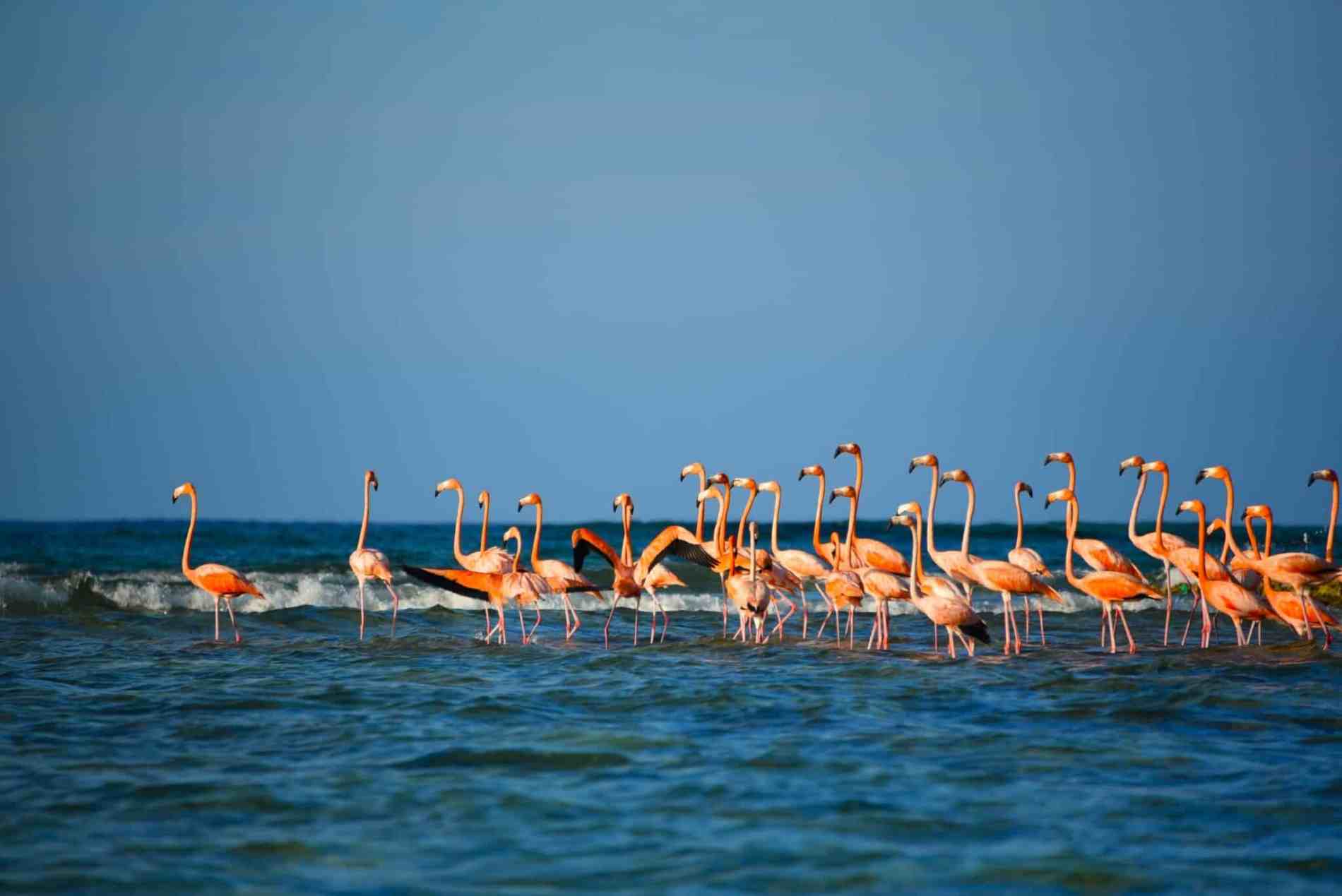 Top 5 Most Secluded Islands in the Bahamas - Bahamas Motor Yacht Charters